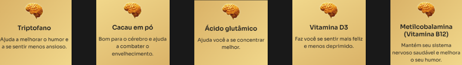 Epic brain – Instituto da Saude